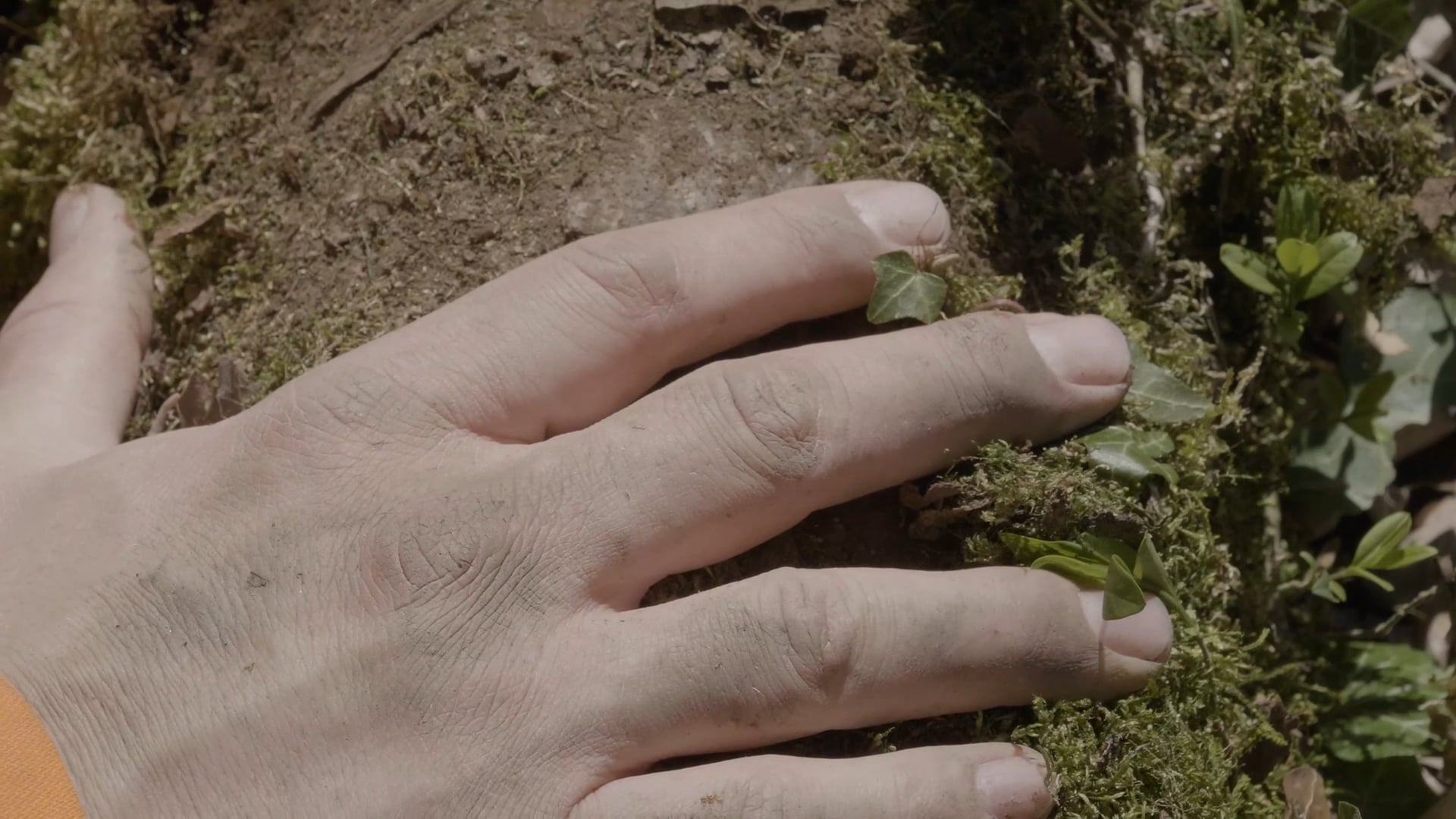 Département Cinéma | Per voi oggi la luce del sol non splenderà